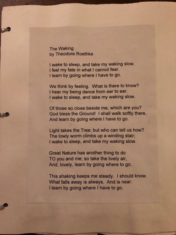 Learning by Going, by Caryn Larrinaga | Jodi L. Milner, Author